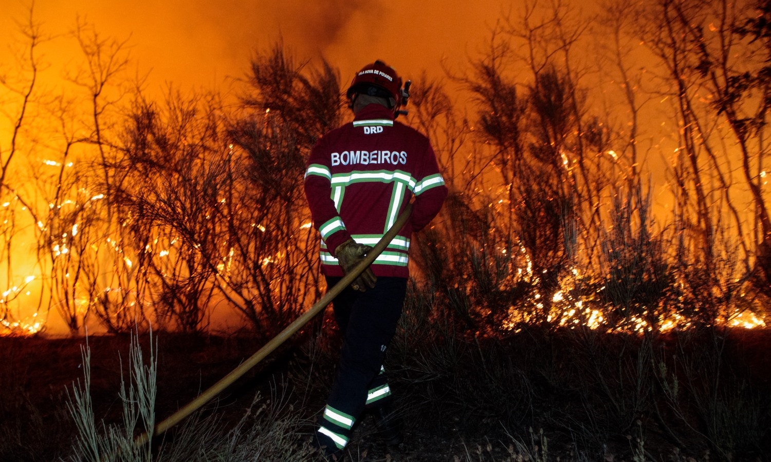 Mais de 13 mil bombeiros receberam formação em fogos florestais em ...