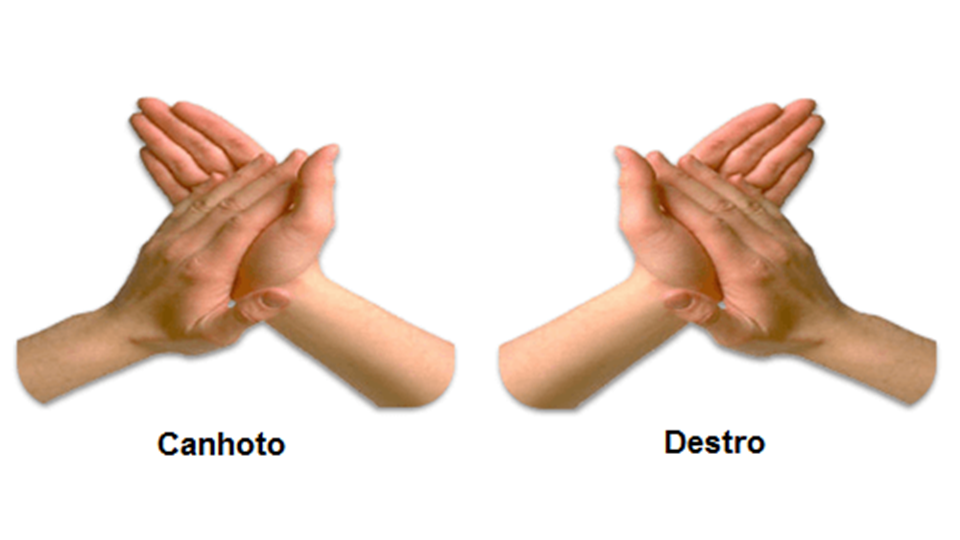 Canhotos vs Destros... quem ganha em inteligência? - RFM